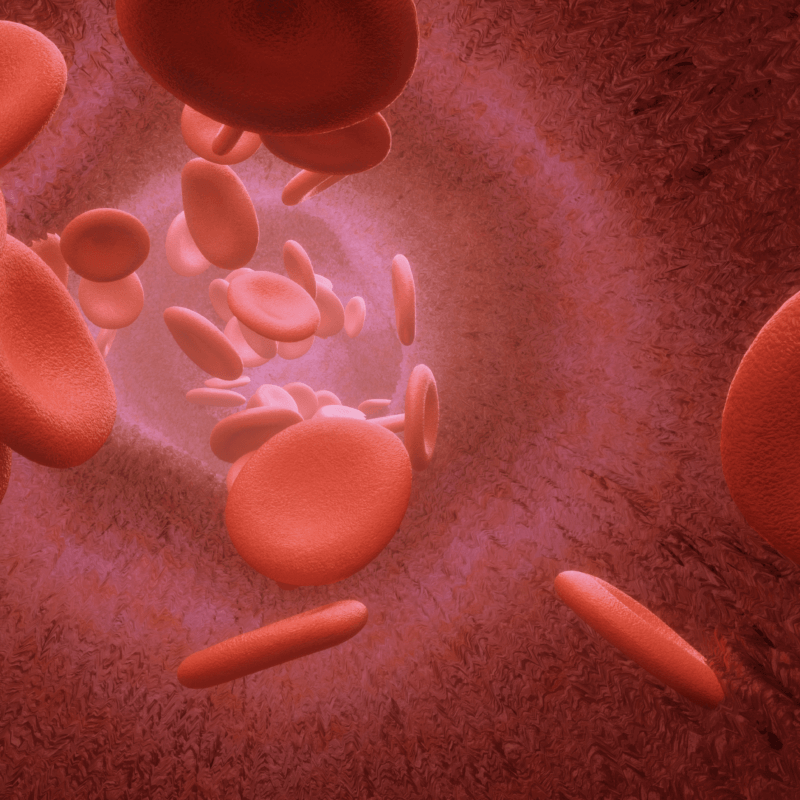 The Ultimate Guide to HbA1c Hemoglobin Testing and Results – Mughal Labs